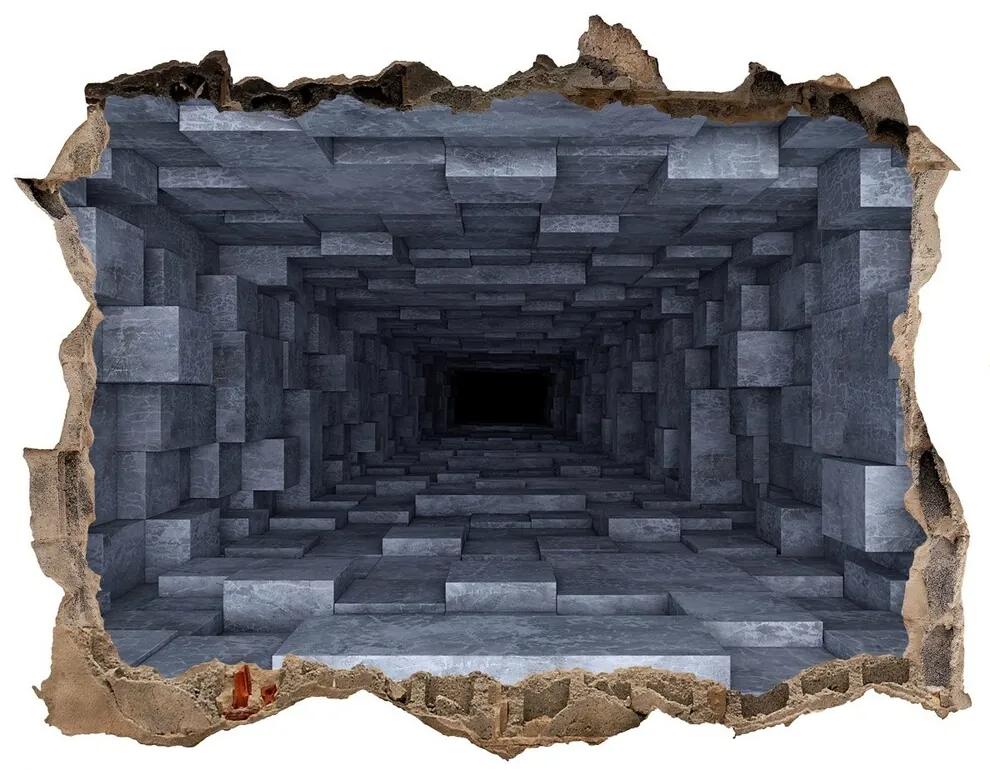 Wallmuralia Díra 3D fototapeta nálepka Tunel 95x64 cm