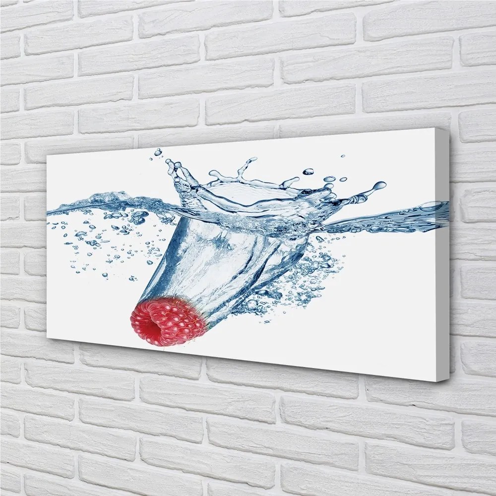 Obrazy na plátně malina voda 120x60 cm