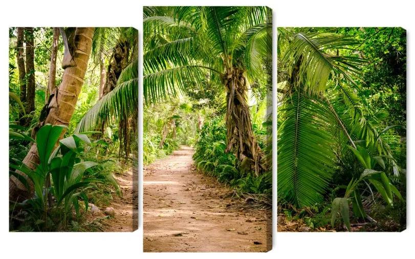 Vícedílný obraz Cesta V Tropickém 3D Lese Nedostatek Nedostatek Přírodní plátno 180x120