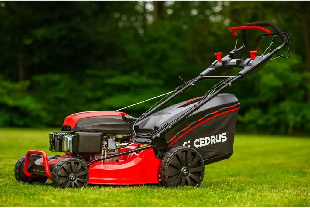 Hahn & Sohn Cedrus Sekačka benzínová KS53S s pojezdem HP16108