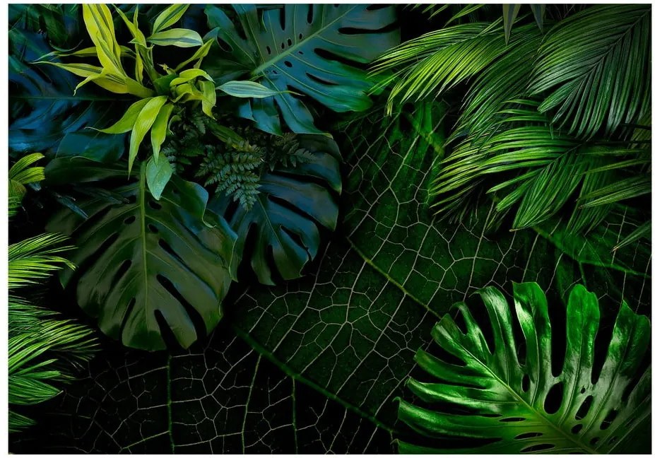 Velkoformátová tapeta Artgeist Dark Jungle, 400 x 280 cm