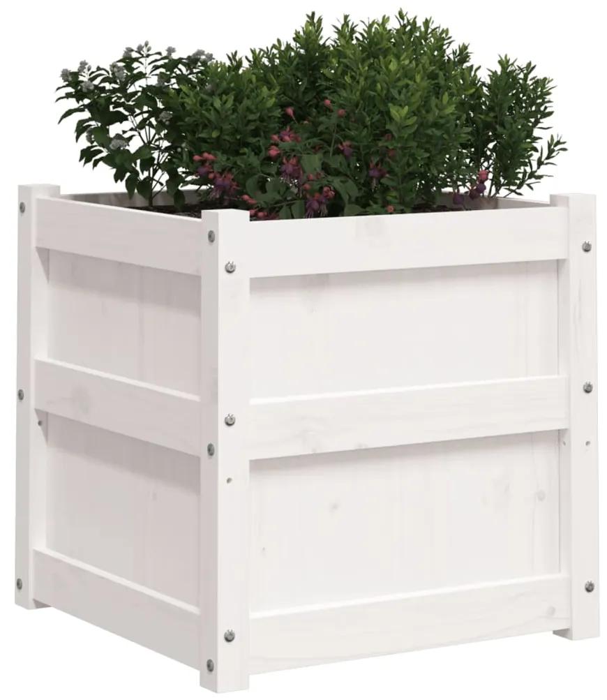 Zahradní truhlík bílý 50 x 50 x 50 cm masivní borovice,  837416