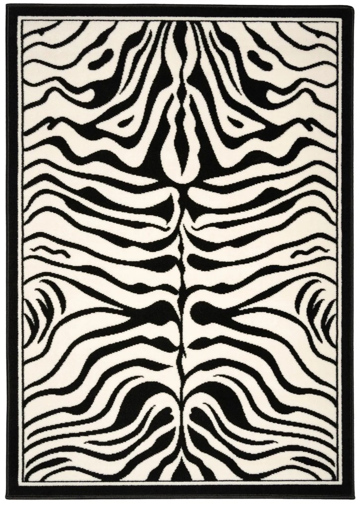 Alfa Carpets  Kusový koberec Zebra black/white - 120x170 cm