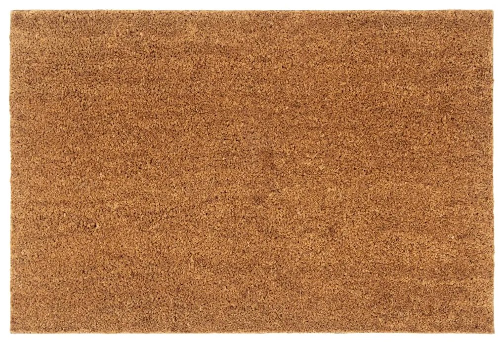 Rohožka před dveře přírodní 60 x 90 cm kokosové vlákno 155602