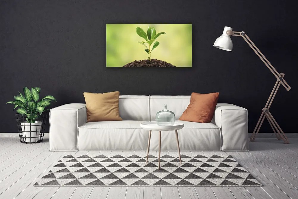 Obraz na plátně Půda Rostlina Růst 140x70 cm