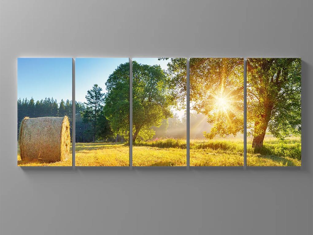 Liox Balík slámy v ranním slunci Rozměr: 100 x 40 cm
