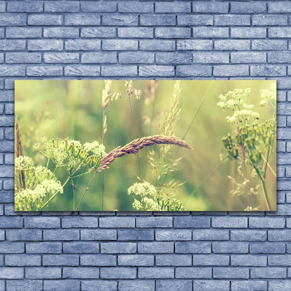 akrylový obraz Divoké Rostliny Příroda 120x60 cm