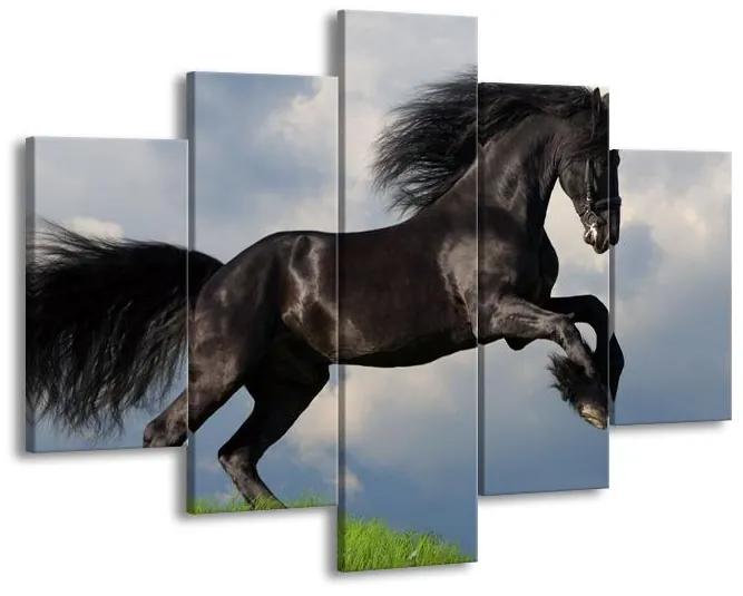 Obraz černého koně  (150x105 cm), 40 dalších rozměrů