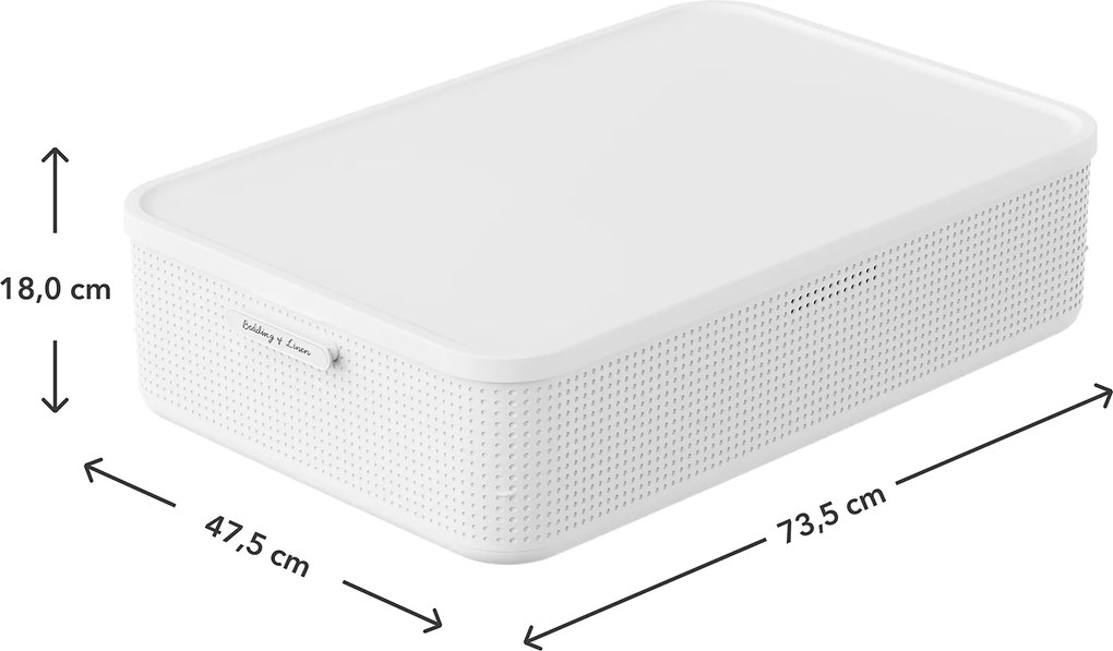 Rotho Úložný box do skříně s víkem a přihrádkou na levanduli, šatní organizér LISORA - XL, 73,5 × 47,5 × 18 cm