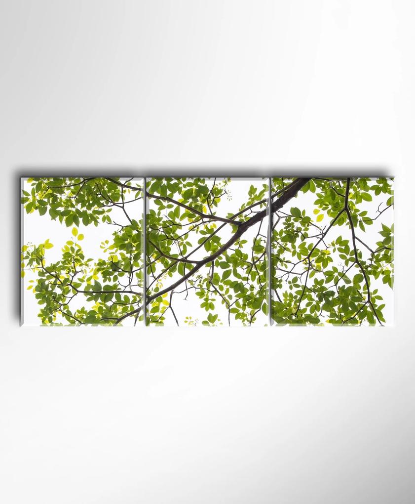 Malvis ® Obraz větev stromu ROZMĚR (šířka x výška): pětidílný obdélník 200x90 cm