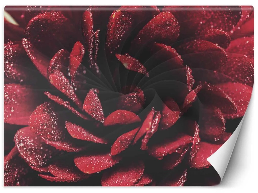 Gario Fototapeta Květina v makro měřítku Materiál: Vliesová, Rozměry: 200 x 140 cm