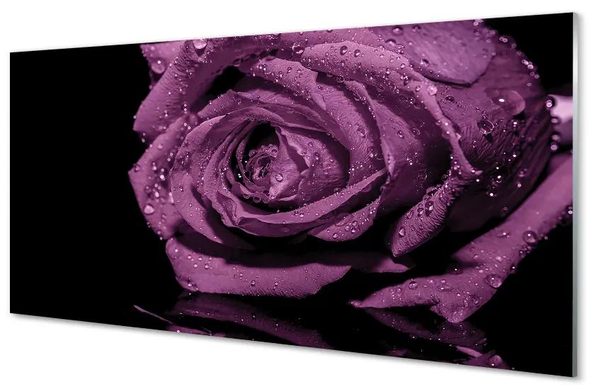 Obraz na skle Purpurová růže 100x50 cm