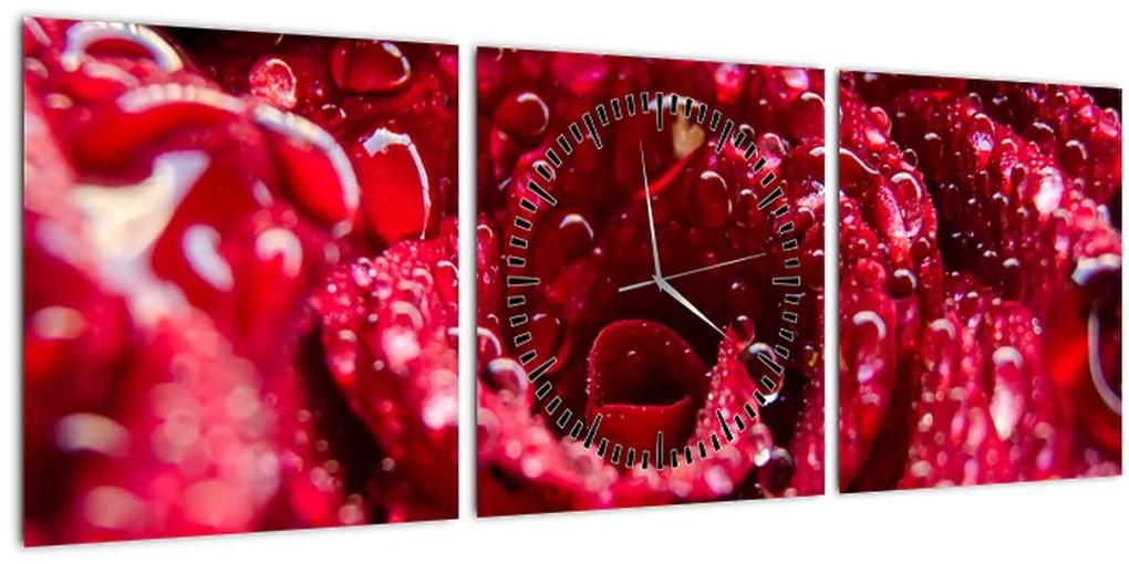 Obraz květu červené růže (s hodinami) (90x30 cm)