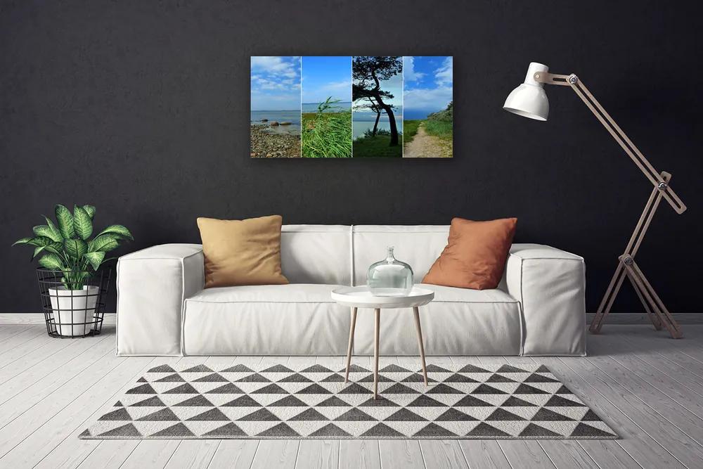 Obraz na plátně Pláž Strom Krajina 120x60 cm
