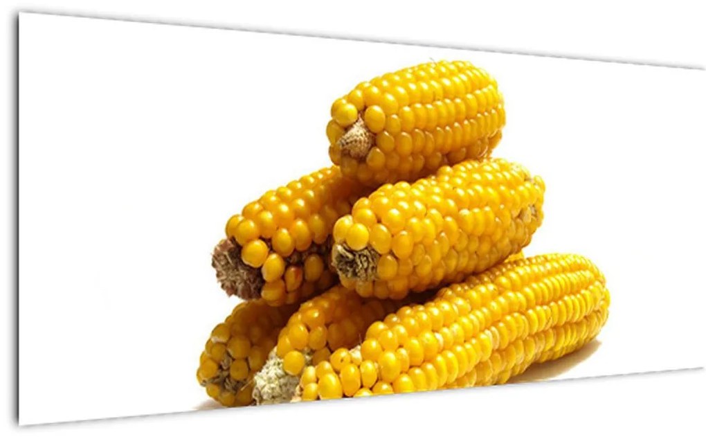 Kukuřice, obraz (100x40cm)