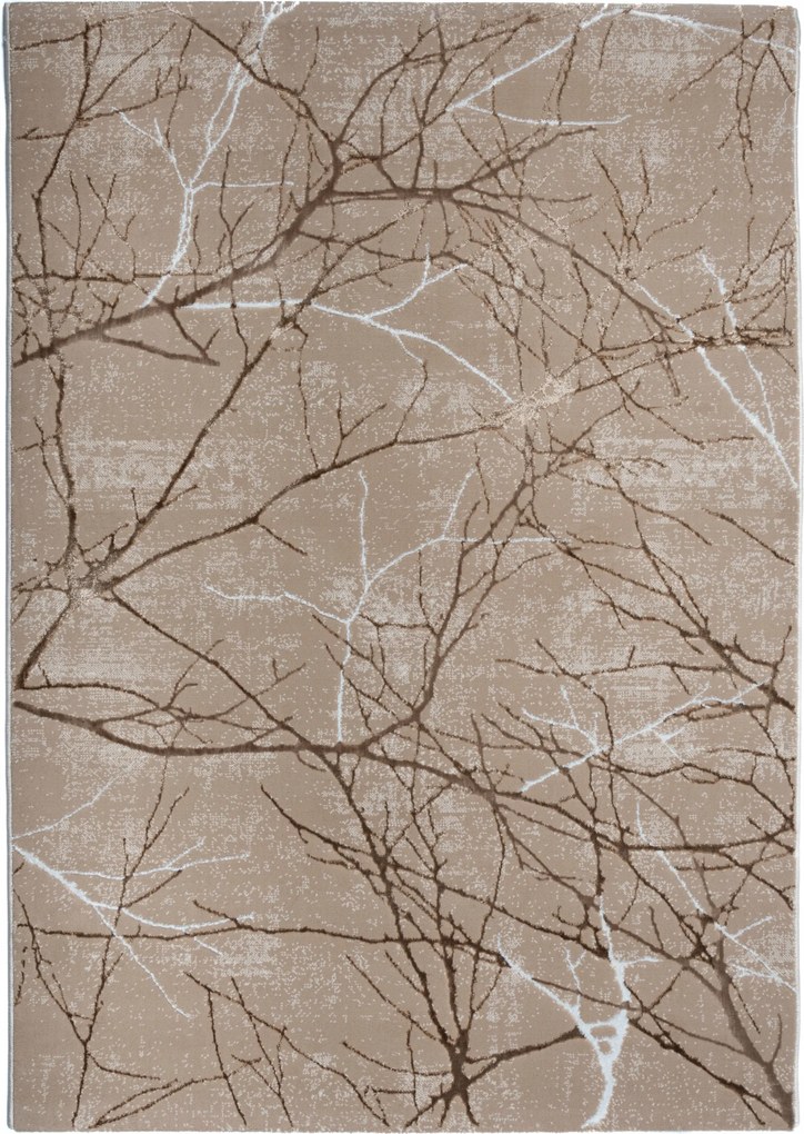 Koberec Glamour Salon Ložnice Lesk 120x170 Béžová