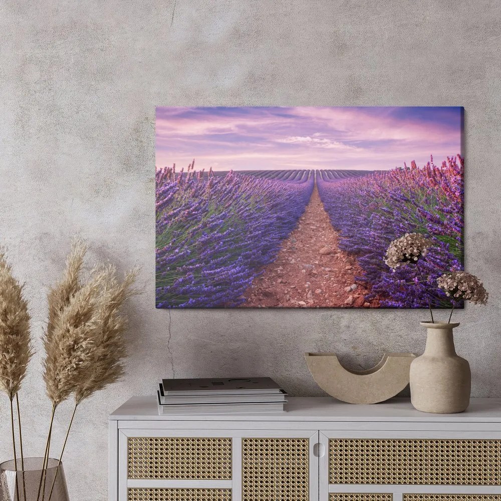 Obraz Krásné Levandulové Pole Nedostatek Nedostatek Přírodní plátno 90x60