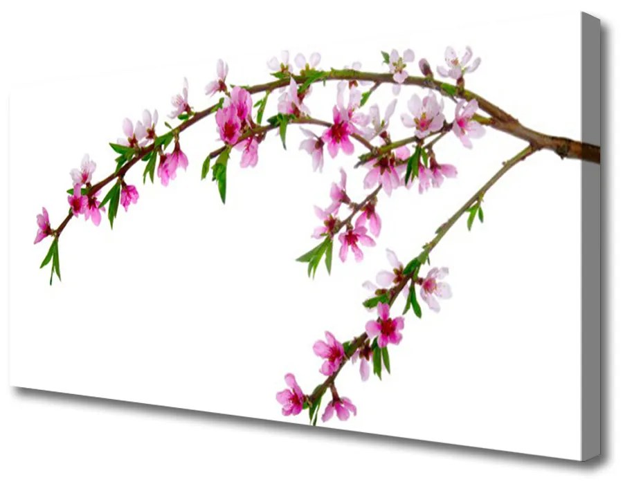 Obraz na plátně Větev Květ Příroda 100x50 cm
