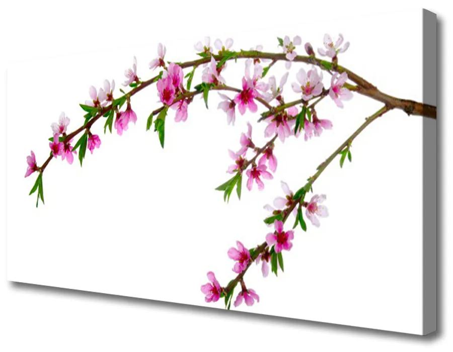Obraz na plátně Větev Květ Příroda 100x50cm