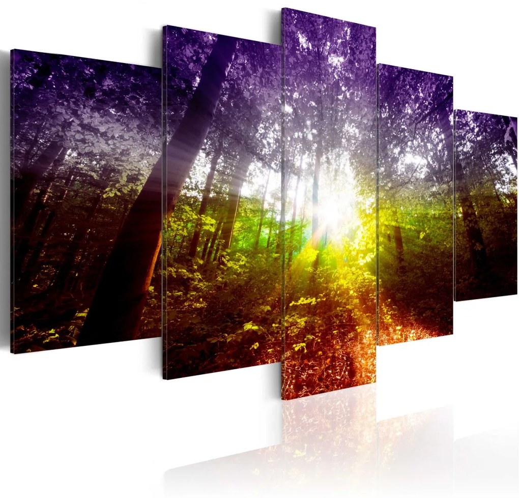 Pětidílné obrazy - duhový les (200x100 cm) - Murando DeLuxe