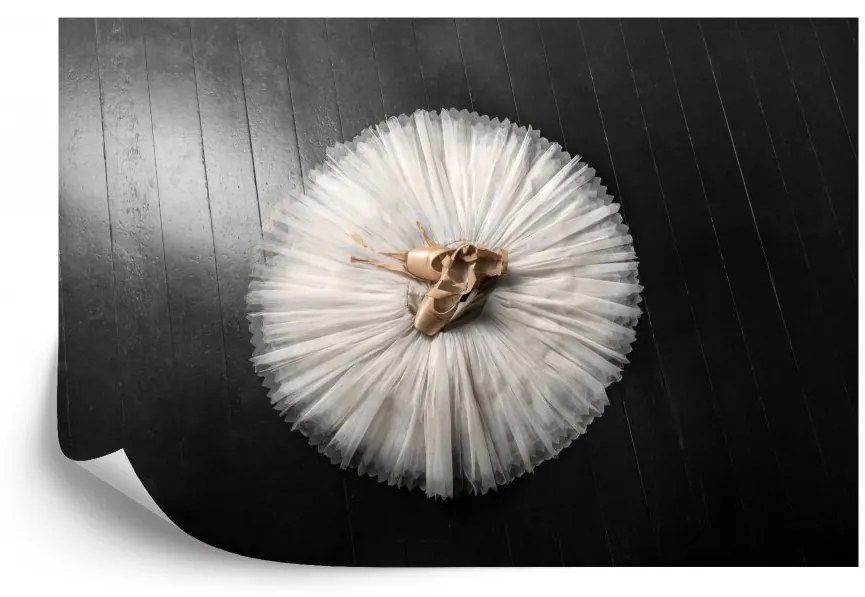 Fototapeta Baletní Boty Na Bílém Tutu Strukturální vinyl 416x254