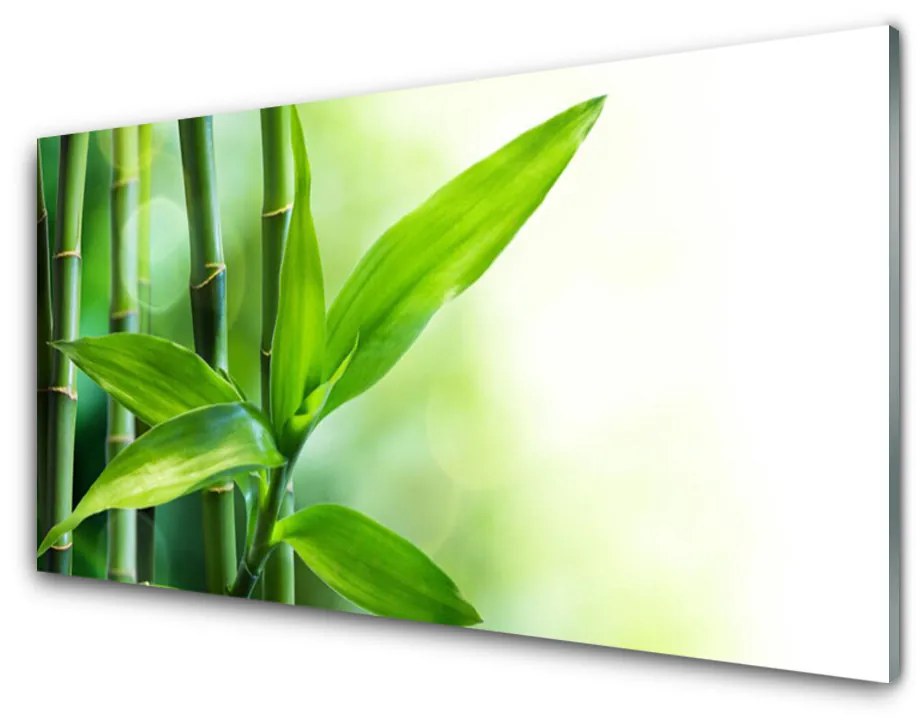akrylový obraz Bambus List Rostlina Příroda 140x70 cm