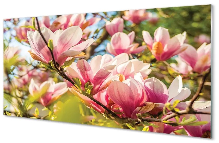 Obraz na skle růžová magnolie 125x50 cm