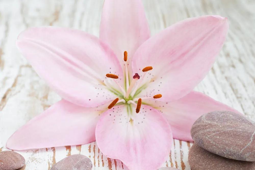 Obraz růžová lilie a Zen kameny