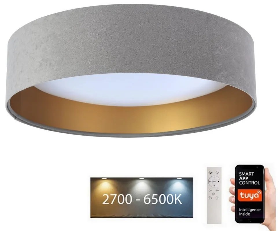 BPS Koncept LED Stropní svítidlo SMART GALAXY LED/24W/230V Wi-Fi Tuya šedá/zlatá + DO BS0511