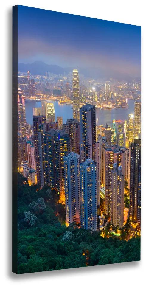 Wallmuralia Vertikální Foto obraz na plátně Noční Hong kong 50x100