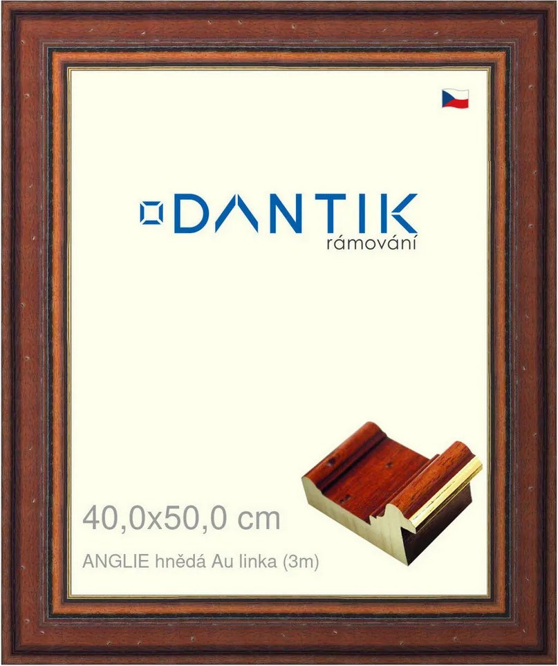 DANTIK rámeček 40x50 | ANGLIE hnědá Au linka (Plexi Čiré)