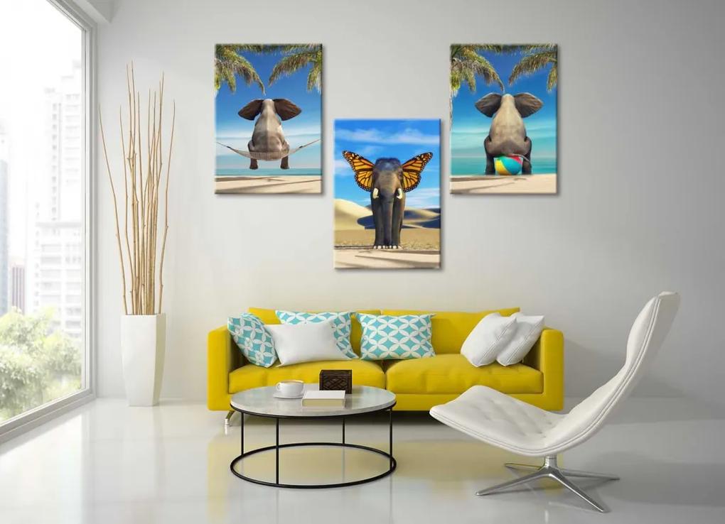 Malvis ® Obraz vtipný slon Velikost: 150x70 cm