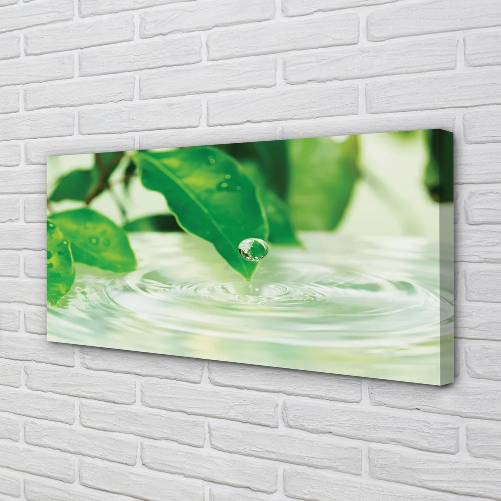 Obrazy na plátně Kapky vody listí 120x60 cm