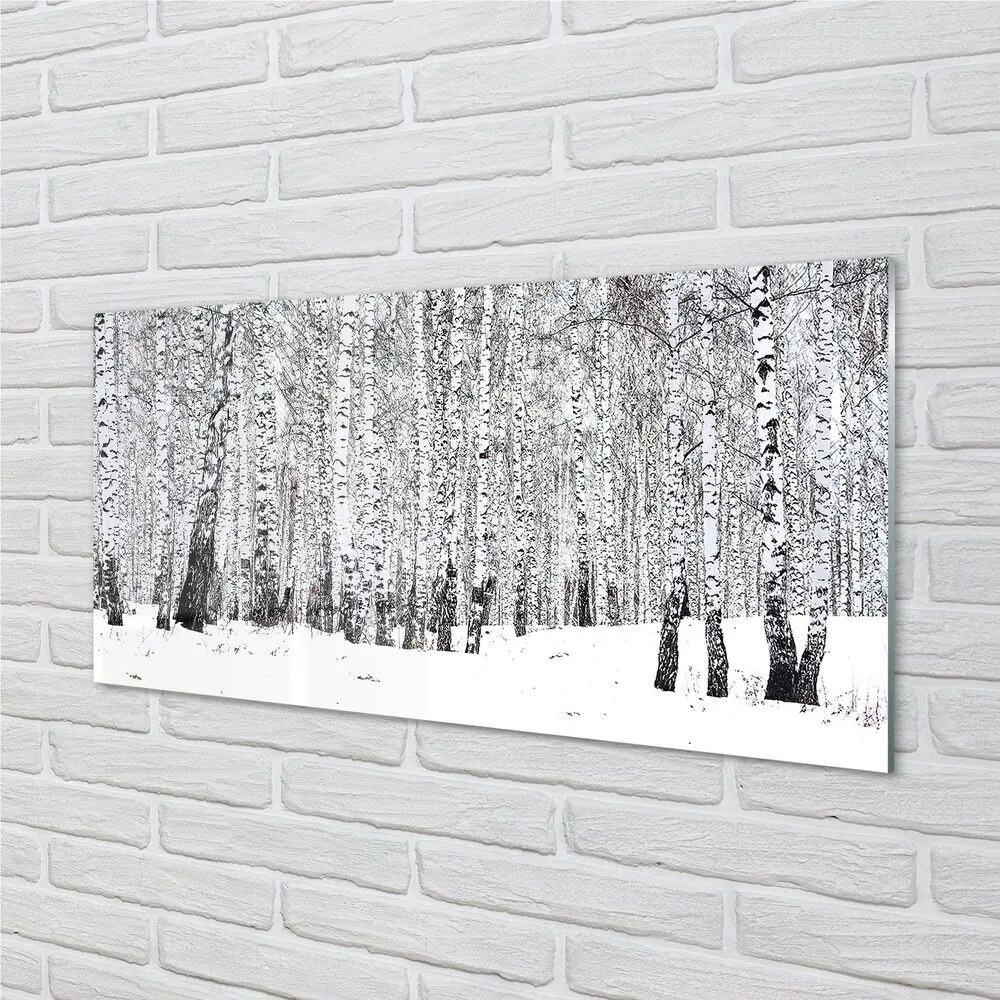 Obraz na skle Zimní břízy 120x60 cm