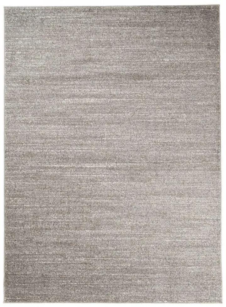 Kusový koberec Remon šedohnědý 300x400cm