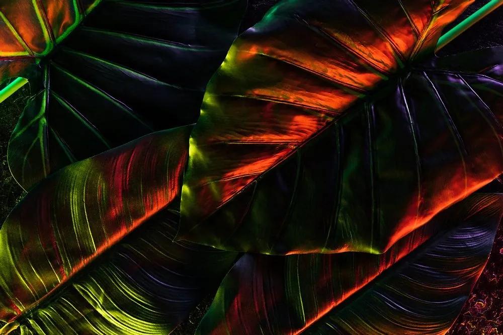Samolepící tapeta tropické palmové listy - 150x100 cm