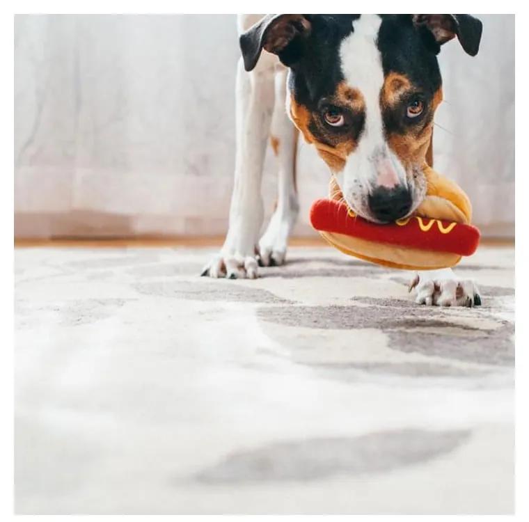 Hračka pro psa Hot Dog – P.L.A.Y.