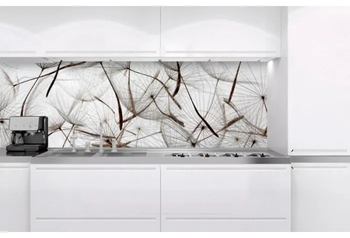 DIMEX | Fototapeta do kuchyně Chmýří pampelišek KI-180-050 | 180 x 60 cm | bílá, hnědá