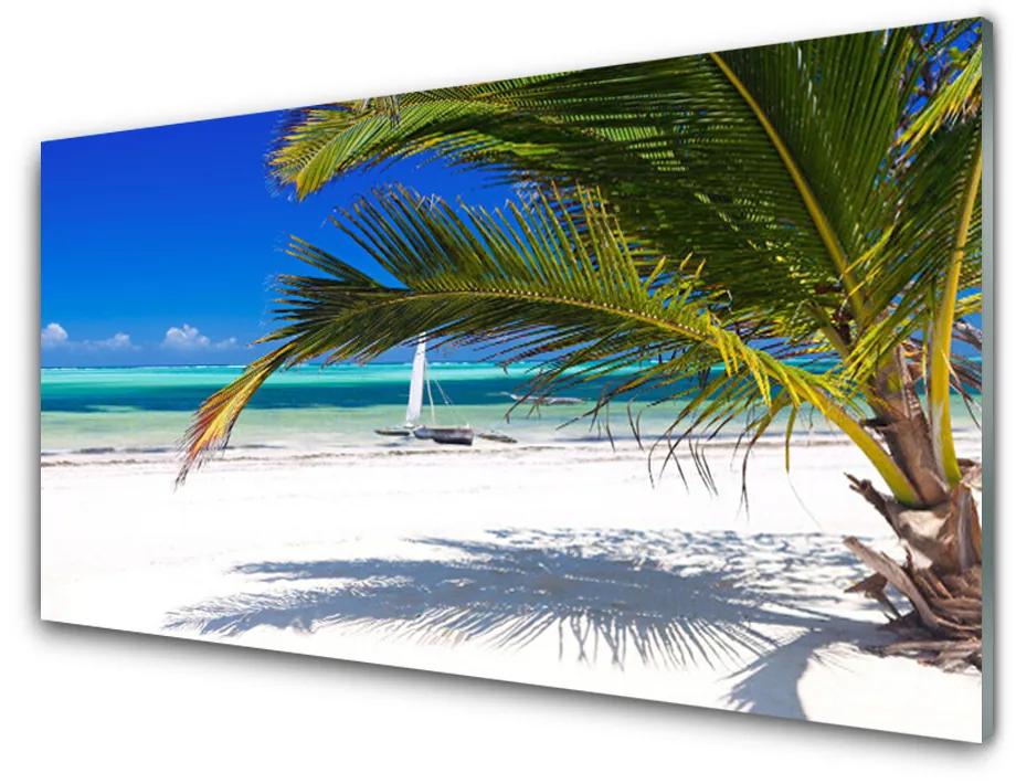 Obraz na skle Pláž Palma Krajina 140x70 cm