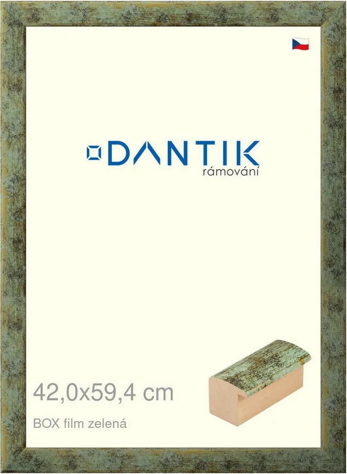 DANTIK rámeček 42x59,4 | BOX filmzelená (Plexi Čiré)