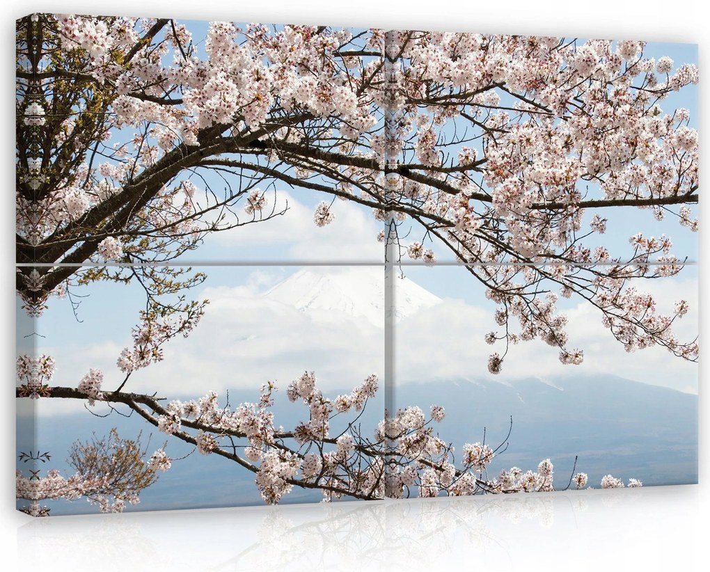 Obraz 120x80 Sakura kvetení třešní Fuji Japonsko jaro krajina příroda