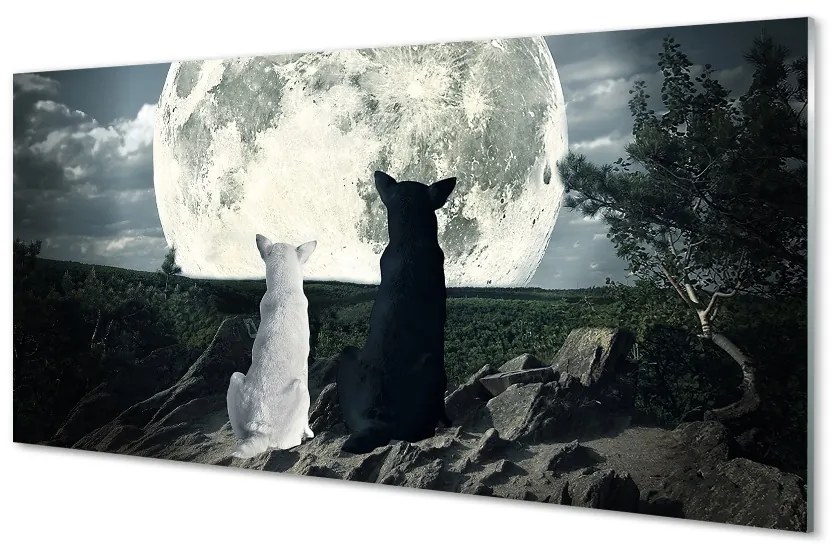Obraz na skle Wolves měsíc lesní 100x50 cm
