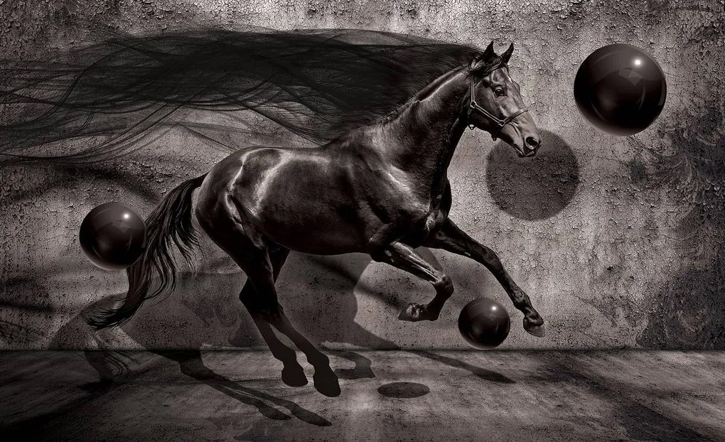 Fototapeta - Černý kůň (254x184 cm)