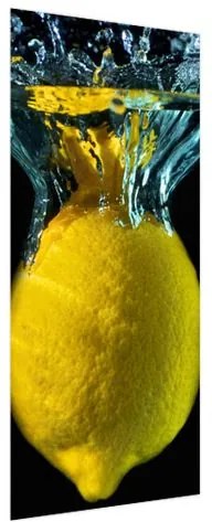 Samolepící fólie na dveře Plovoucí citron 95x205cm ND4797A_1GV