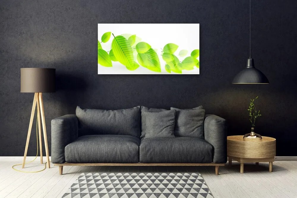 Plexisklo-obraz Listy Květiny Příroda 100x50 cm