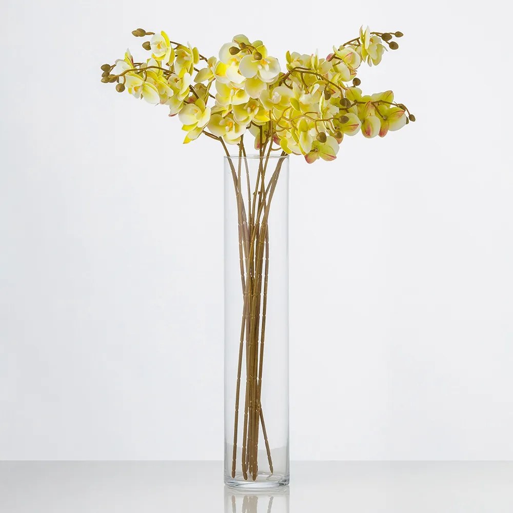 Kvalitní orchidej KARINA žlutá krémová. Cena je za 1 kus.