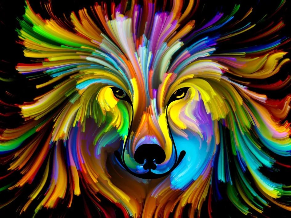 Obraz barevný vlk Velikost (šířka x výška): 60x40 cm