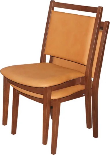 Bradop Židle celočalouněná BLANKA buková Z127 L - OLŠE 580 - ASTON-580