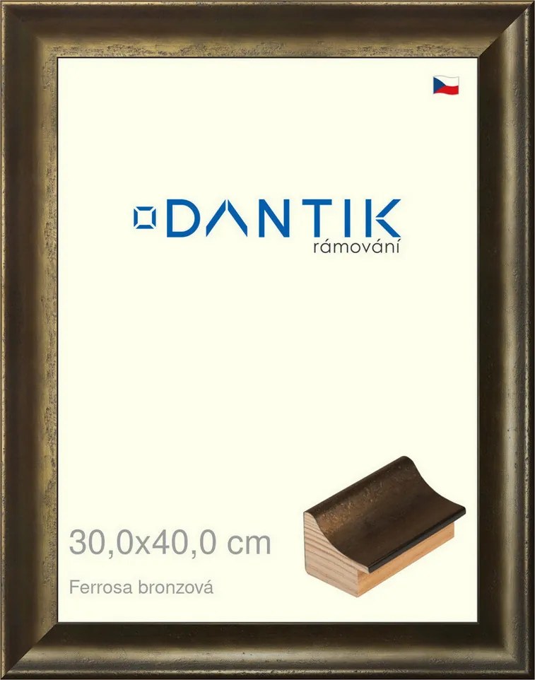 DANTIK rámeček 30x40 | Ferrosa bronzová (Plexi Čiré)