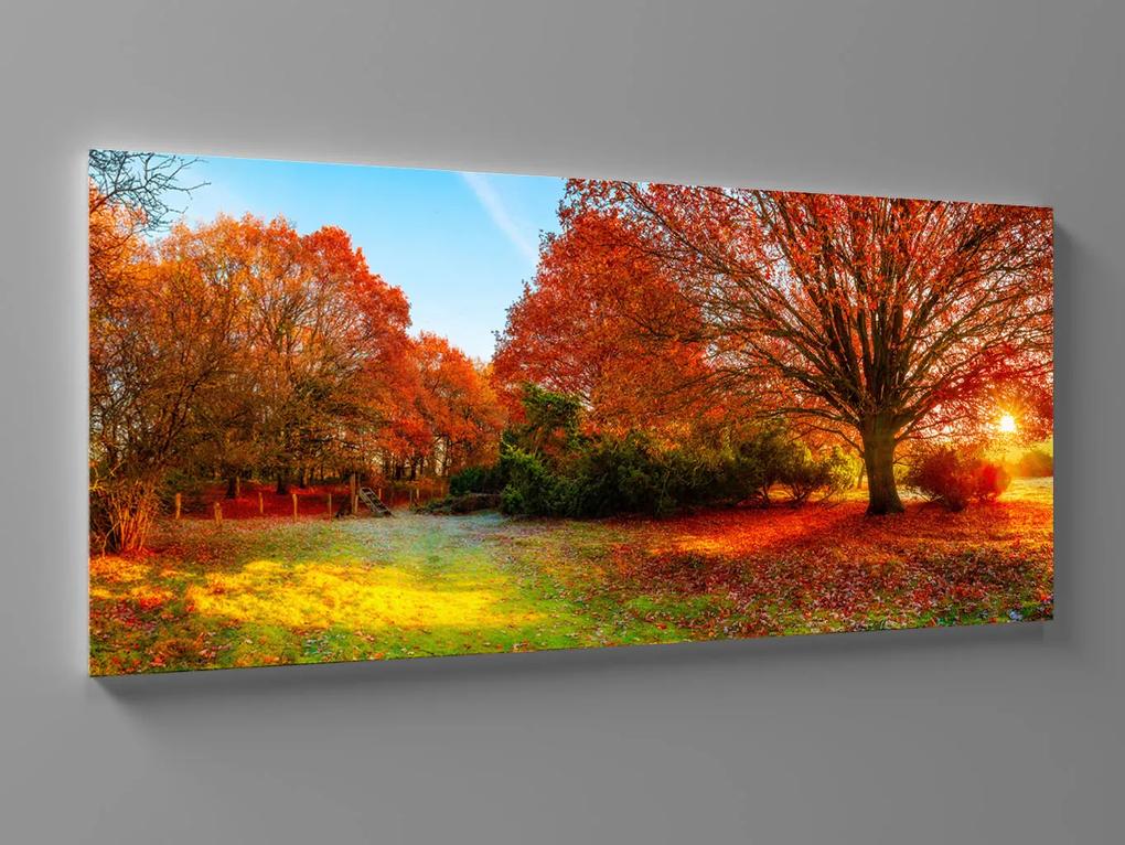 Liox Obraz strom v paprscích slunce Rozměr: 100 x 45 cm